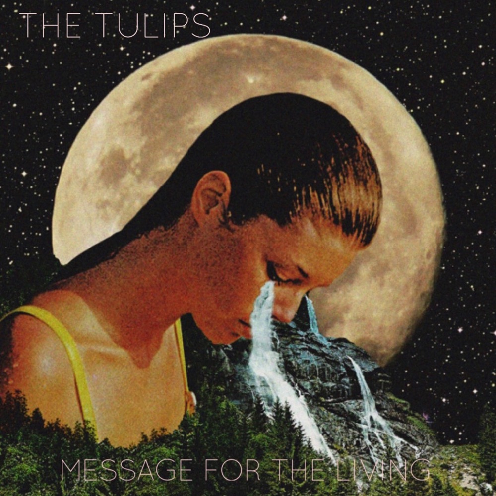 The Tulips - Message for the Living - Reviews - Album of The Year