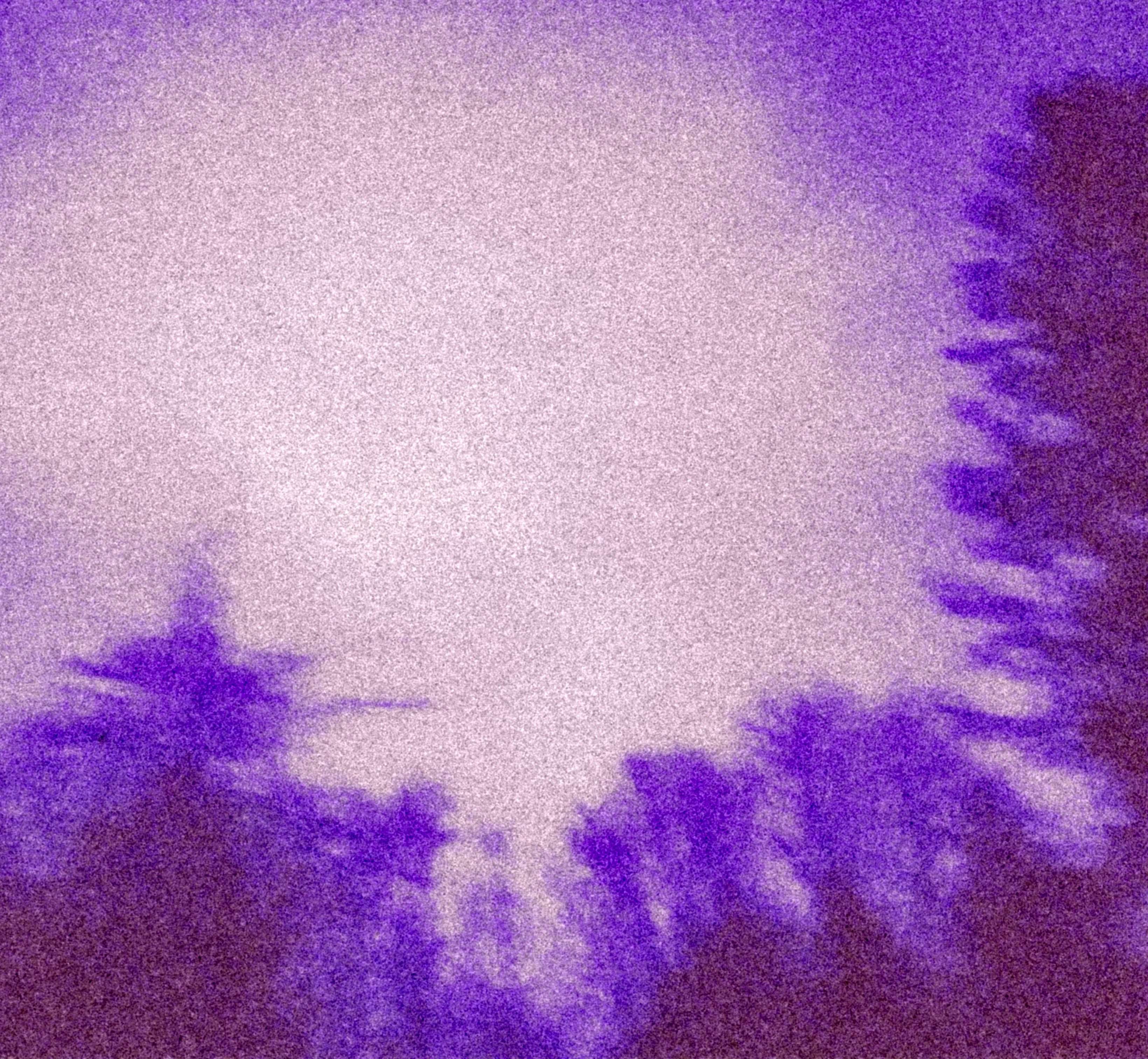 Sleepingfeverdream - The World / Ascension - Reviews - Album of The Year