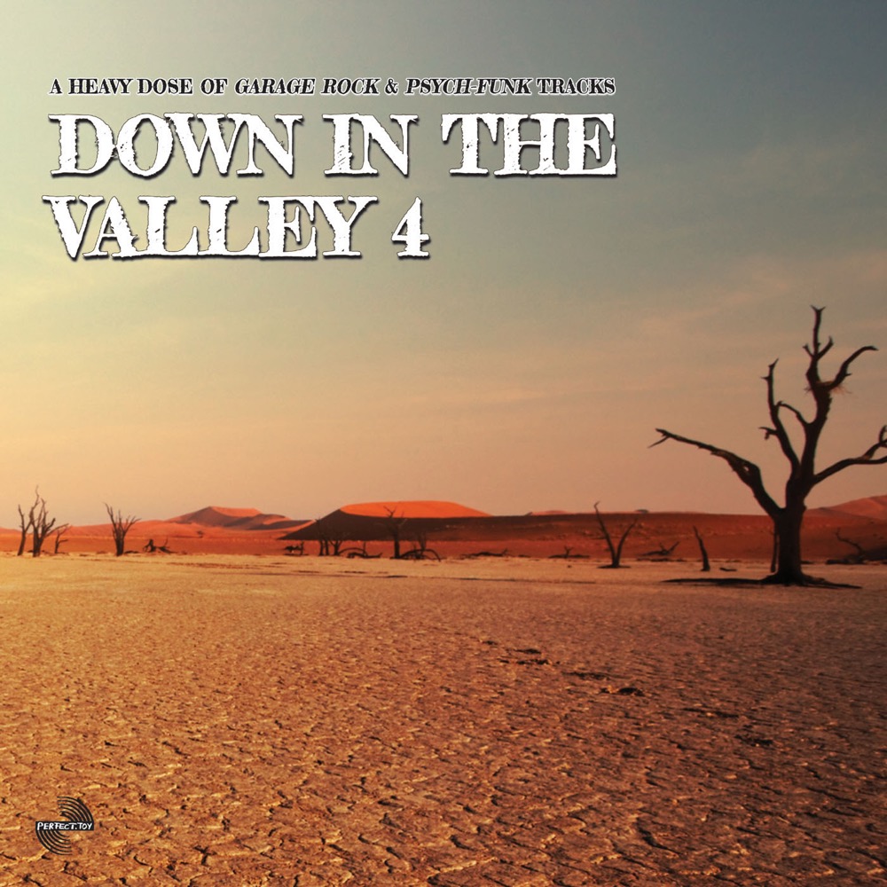 Various Artists - Down In The Valley 4 - Reviews - Album of The Year