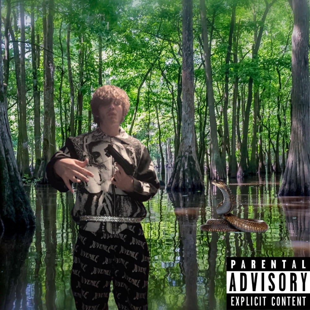 DeFauni Scleep - Through da slimes and da snakes - Reviews - Album of ...