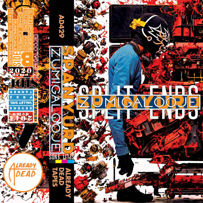 Spanyurd & Zumigalooje - SPLIT ENDS - Reviews - Album of The Year