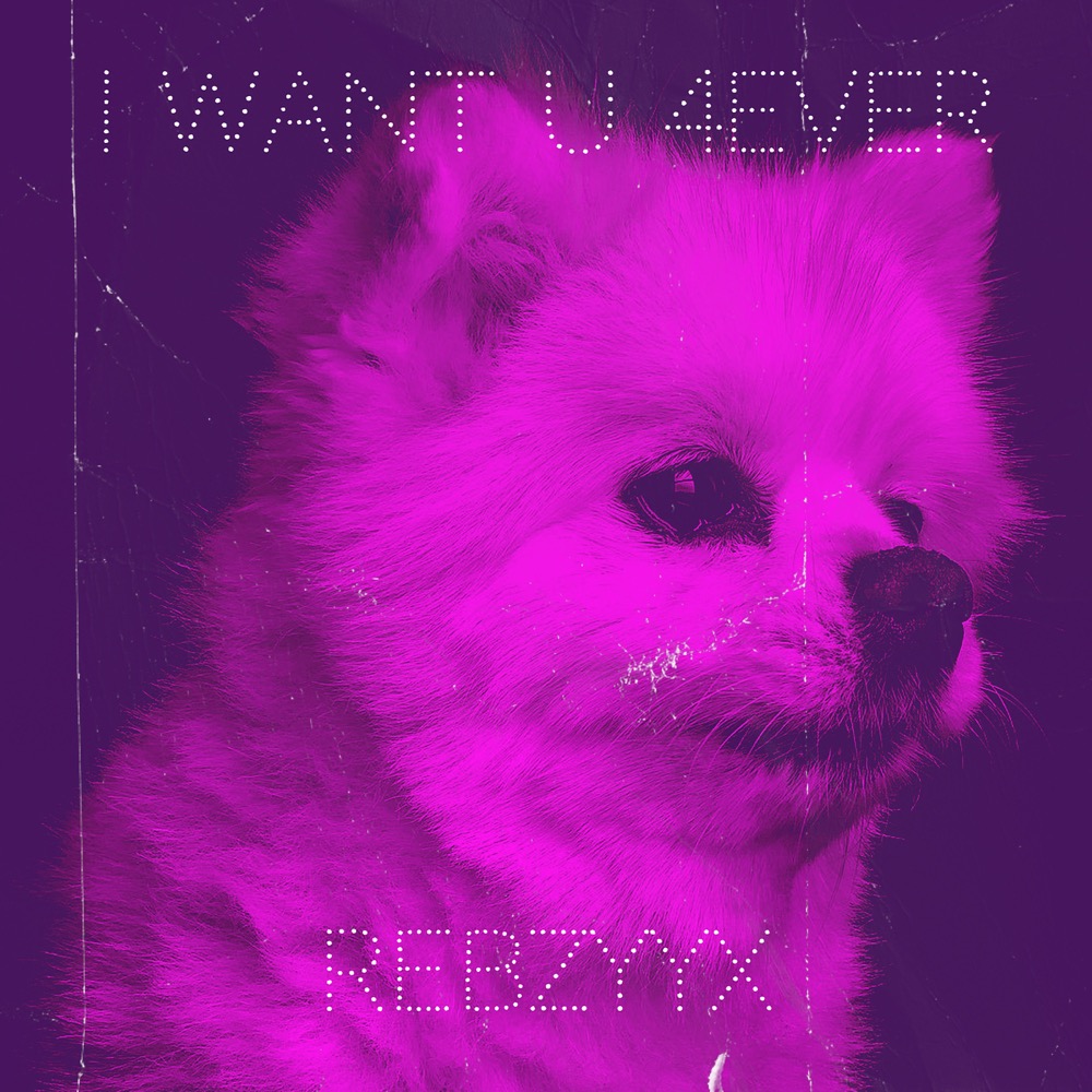 Rebzyyx - I Want U 4ever - Reviews - Album of The Year