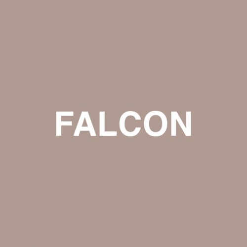 Songs Similar to Falcon by Jaden