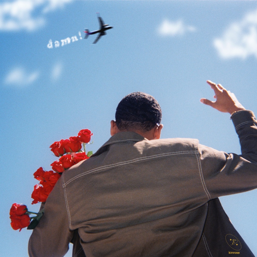 Kinrose - damn (Single) - Reviews - Album of The Year