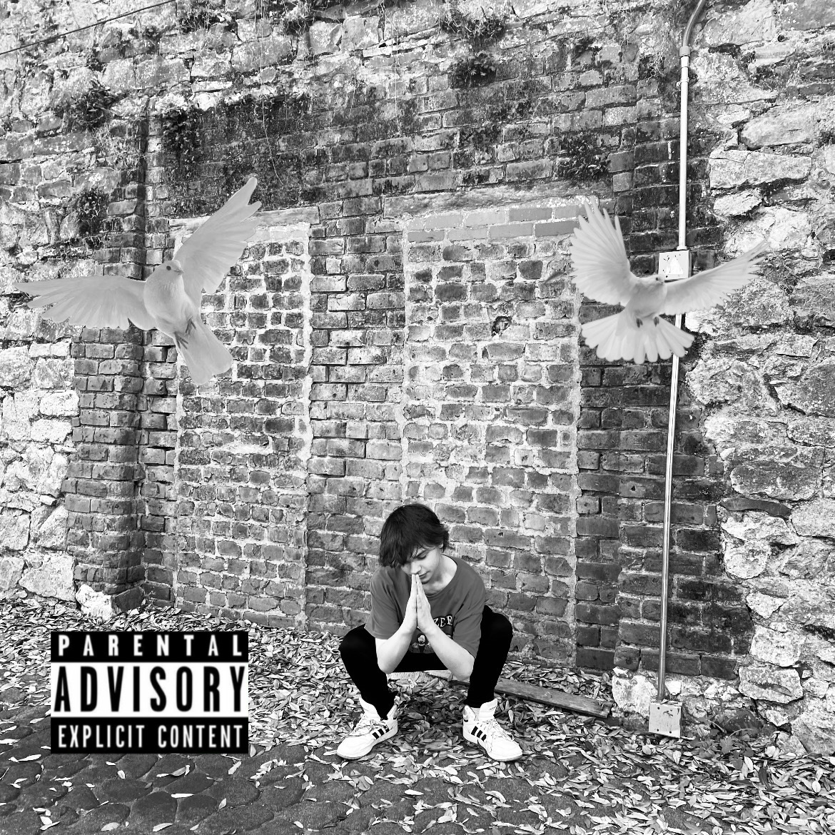 Colon Cancer - THIS THAT STUPID SHIT! (EP) - Reviews - Album of The Year