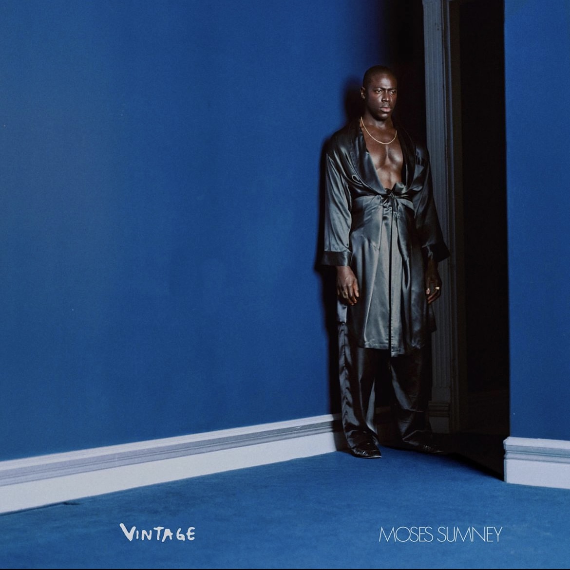 Moses Sumney - Vintage (Single) - Reviews - Album of The Year