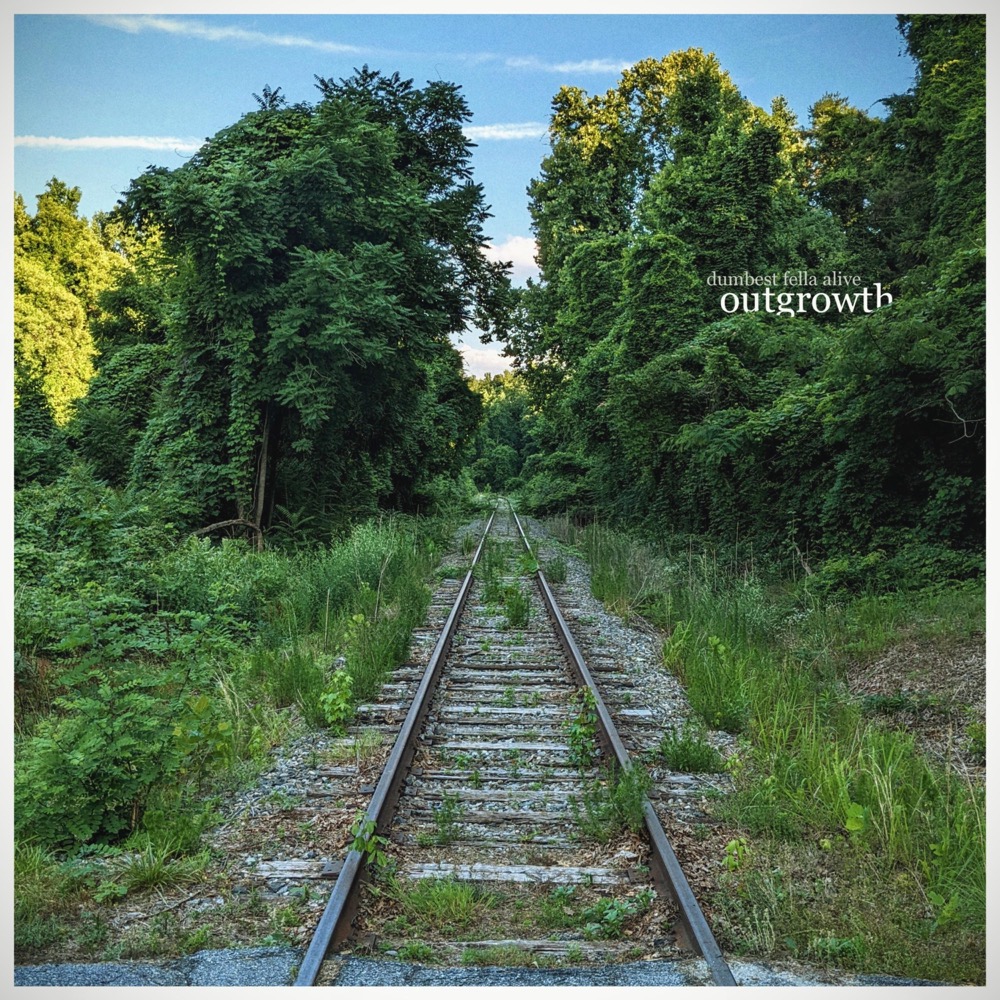 Dumbest Fella Alive - outgrowth (EP) - Reviews - Album of The Year