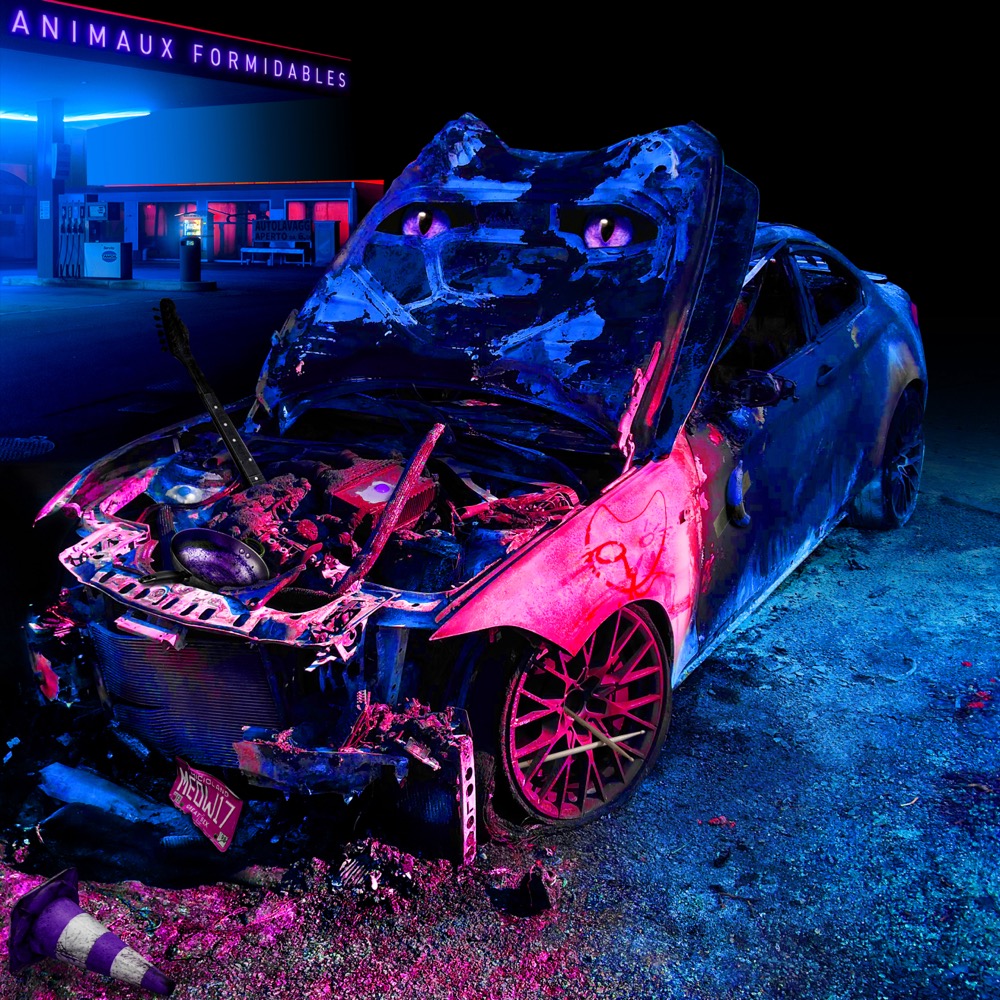 Animaux Formidables - Make Sense of Any Mess - Reviews - Album of The Year