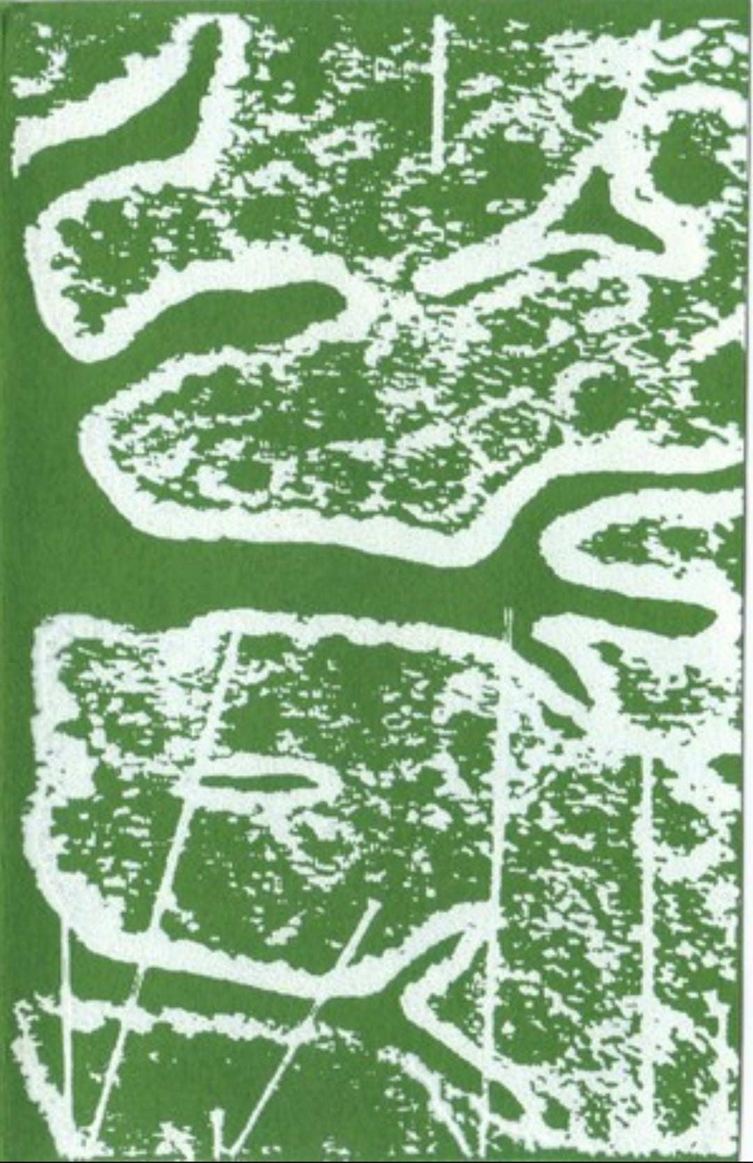 European Dots - Asian Milk - Reviews - Album of The Year