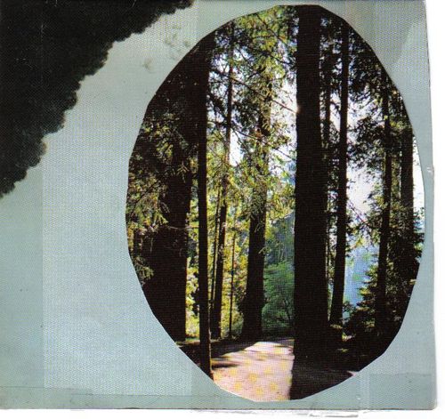 Various Artists - Naturalism (Compilation) - Reviews - Album of The Year