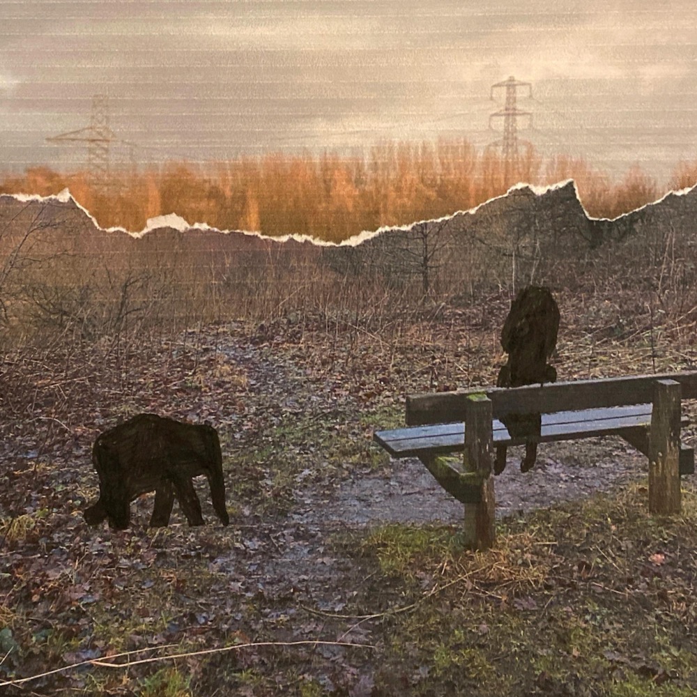 Haircut - The Elephant - Reviews - Album of The Year