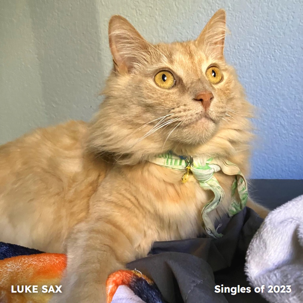 Luke Sax - 2023 Singles, Pt. 1 - Reviews - Album of The Year