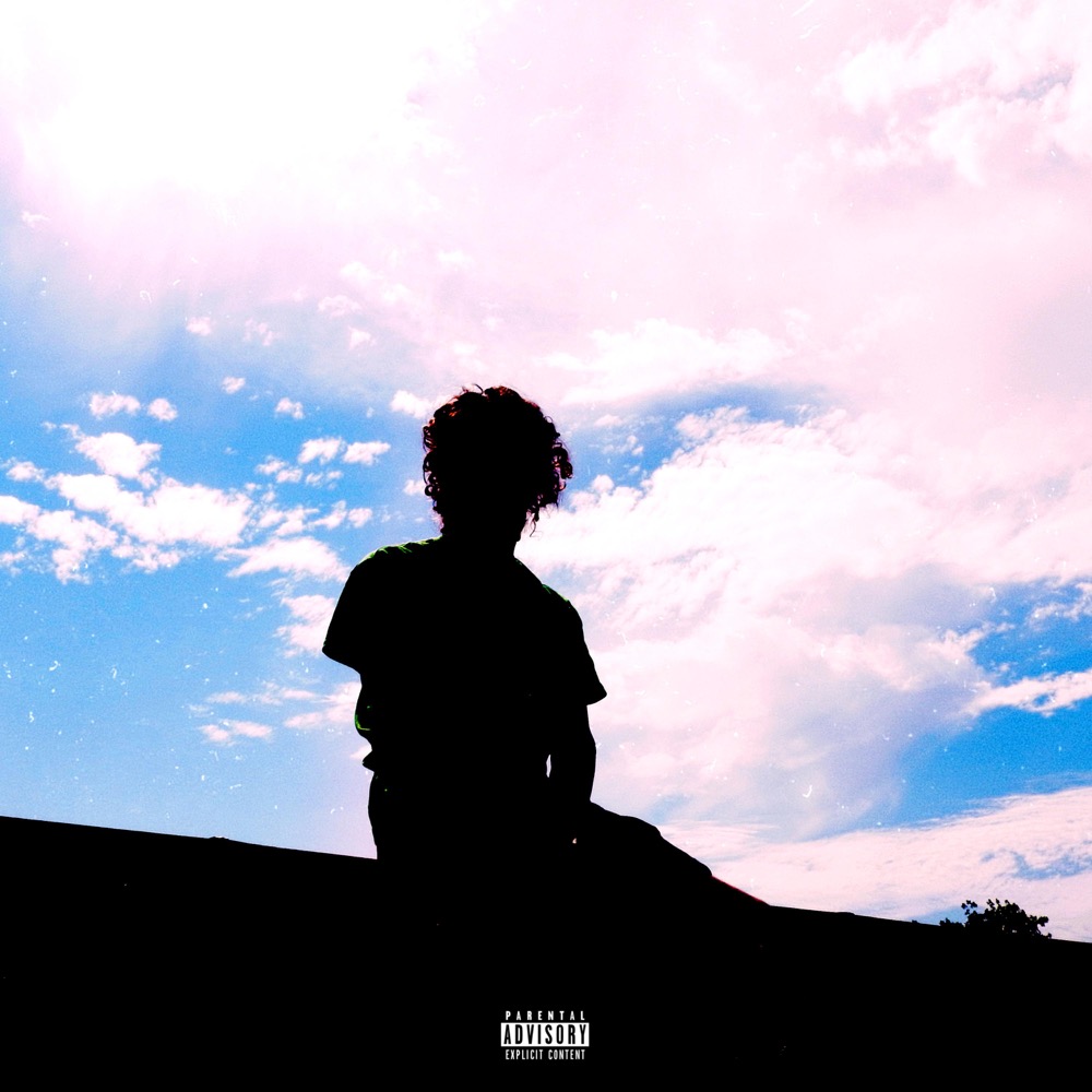 D. Rew - LEMON LIME LIFE - Reviews - Album of The Year