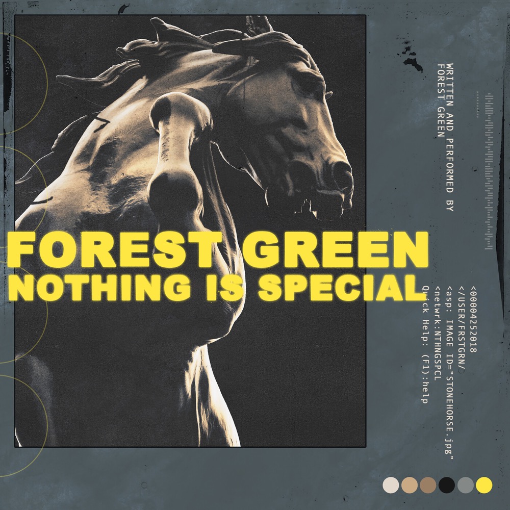 Forest Green - Nothing is Special (EP) - Reviews - Album of The Year