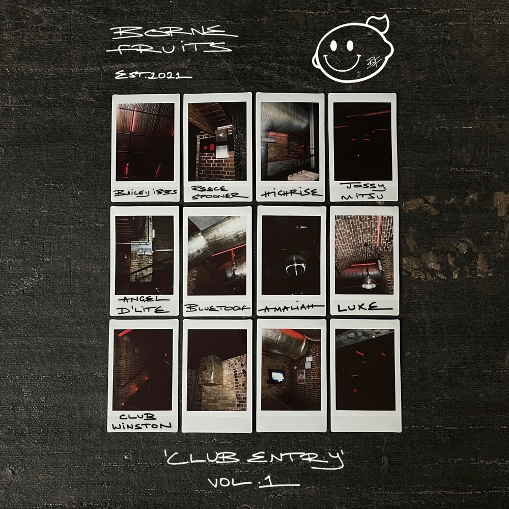 Various Artists - Club Entry Vol. 1 - Reviews - Album of The Year