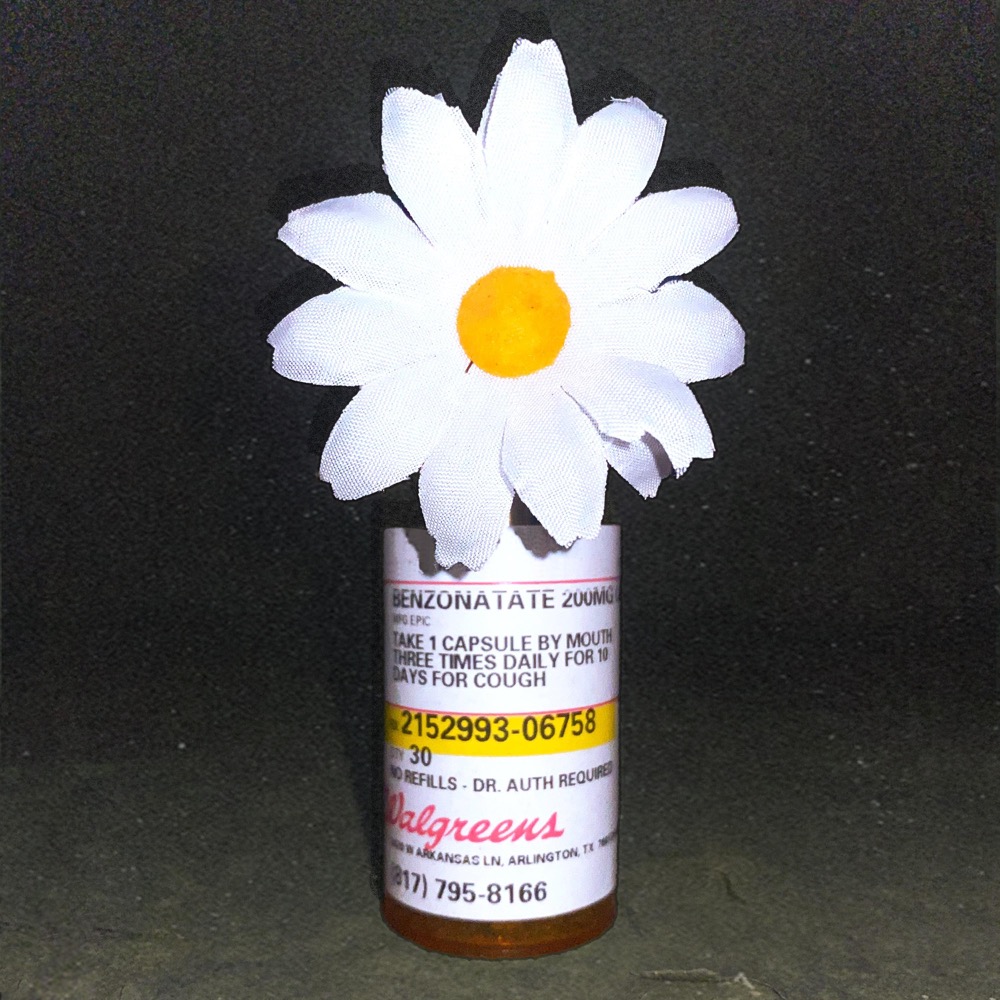 Life After Youth - Daisy (Single) - Reviews - Album of The Year