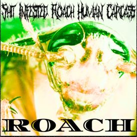 Shit Infested Roach Human Carcass - Shit Infested Roach Human Carcass ...