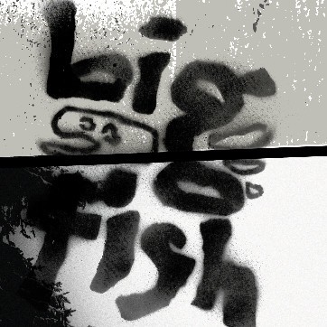 Big Fish Albums, Songs - Discography - Album of The Year