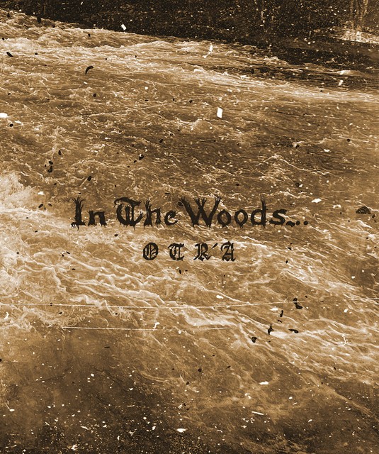 In the Woods... Albums, Songs - Discography - Album of The Year