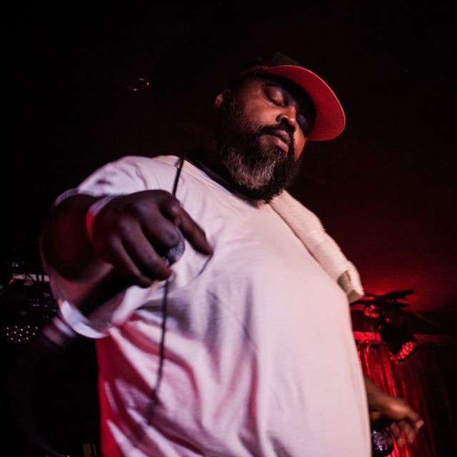 June Megalodon Albums, Songs - Discography - Album of The Year