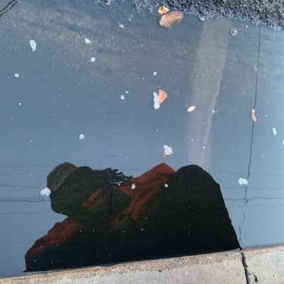 Like Albums, Songs - Discography - Album of The Year