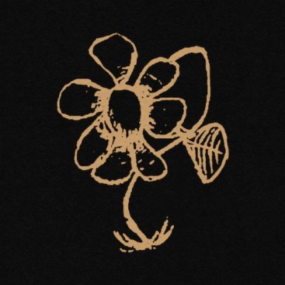 Saetia Albums, Songs - Discography - Album of The Year
