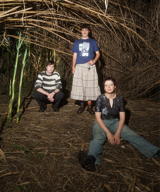 symmetrical dogs Albums, Songs - Discography - Album of The Year