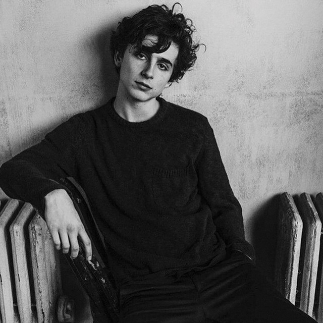 Timothée Chalamet Albums, Songs - Discography - Album of The Year