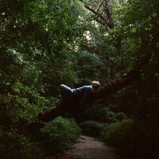 Weaving Albums, Songs - Discography - Album of The Year