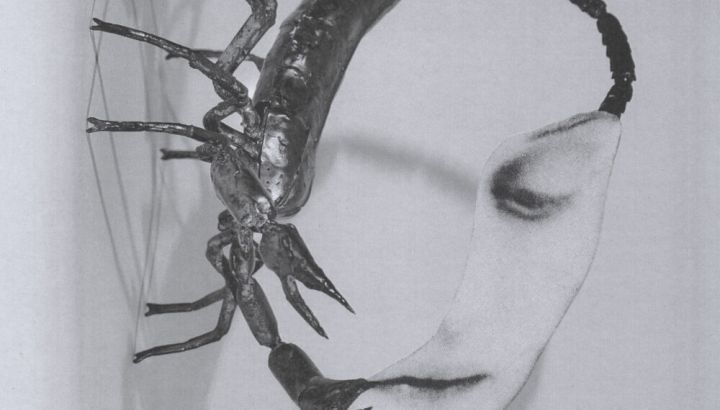 Tortoise Announce First Album In Nine Years 'Touch' - Hear “Layered ...