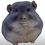 PoopSniffer - Profile - Album of The Year